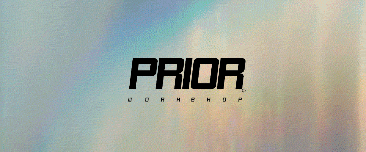 Prior Workshop - Prior